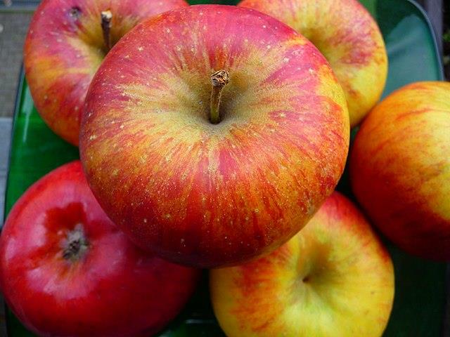 Appel Topaz | CoopSaam - Buurtwinkel Essen